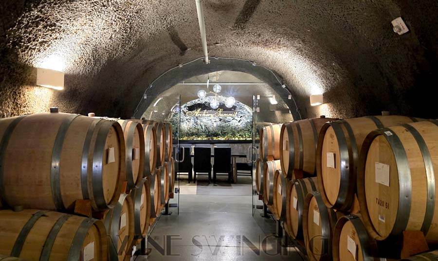 Archery Summit Winery: Where Oregon Pinot Meets Patience - Wine Swinging